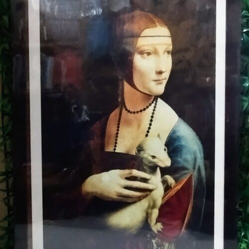 Bazar do Livro Usado – Compra, venda e trocas de livros